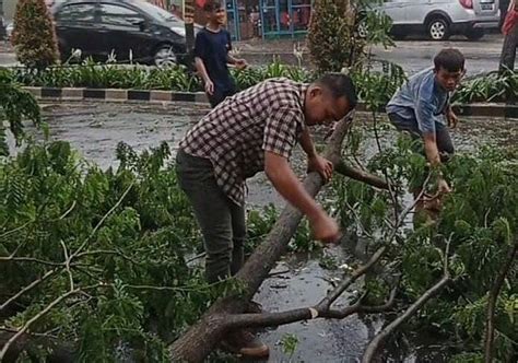 Hujan Deras Pohon Tumbang Tutup Ruas Jalan Di Serpong Okezone