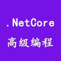 Asp Net Core高级编程 小报童专栏