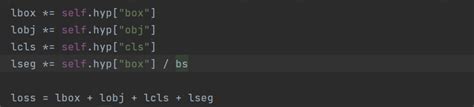 Binary Segmentation Being Normalized Whereas Other Losses Are Not