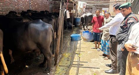 नालियों में गोबर बहाने वाली आठ पशु डेयरियों पर जुर्माना