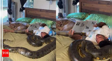 This Is Insane Man Calmly Reads Book On Bed With A Massive Python Beside Him Video Goes Viral