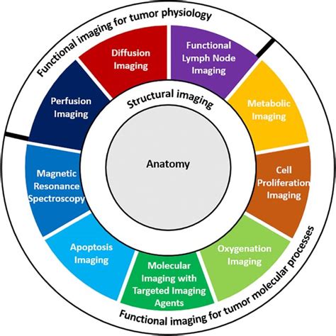 The Pipeline Of Federated Learning Which Includes The Main Four Steps