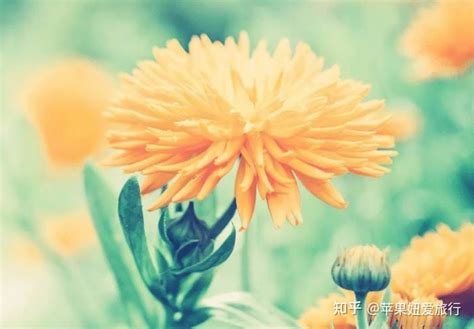 盈利的期货交易系统是这样的？ 知乎