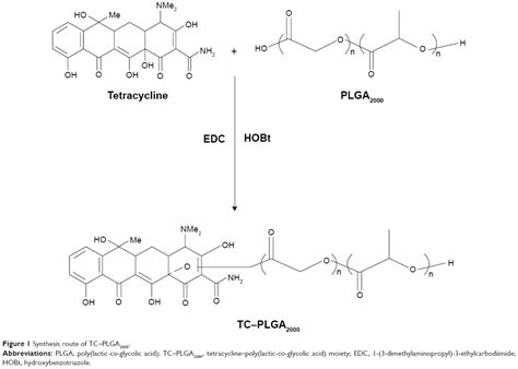 Tetracycline Grafted Plga Nanoparticles As Bone Targeting Drug Deliver
