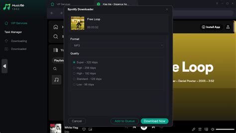 Download Spotify Music Offline Easy Guide