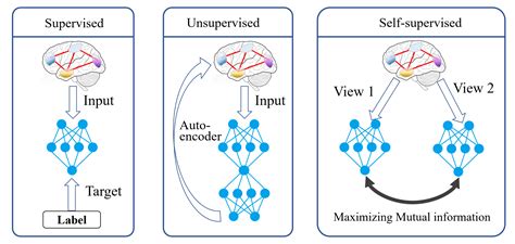 Gate Graph Cca For Temporal Self Supervised Learning For Label