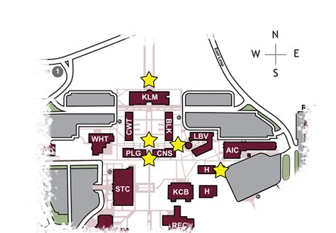 Tamiu Alumni Ring Day