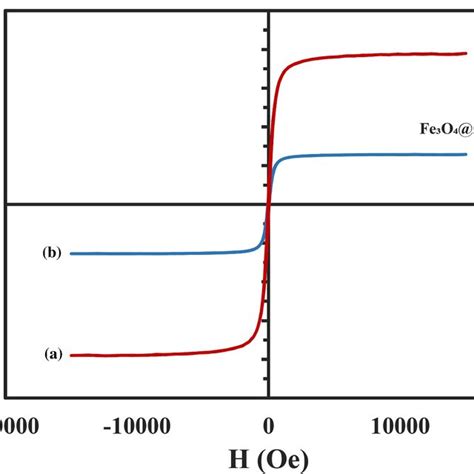 Magnetization Curves Of Magnetic Iron Oxide Nanoparticles Mnps A