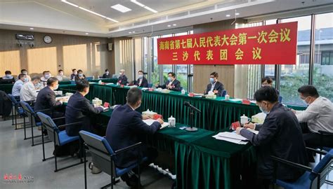 冯飞参加三亚、海口、三沙、文昌代表团审议