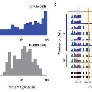 Variation In Isoform Usage Between Single Cells A RNA Seq Read Download Scientific Diagram