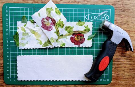 Tataki zomé how to make prints from nature National Museums Liverpool
