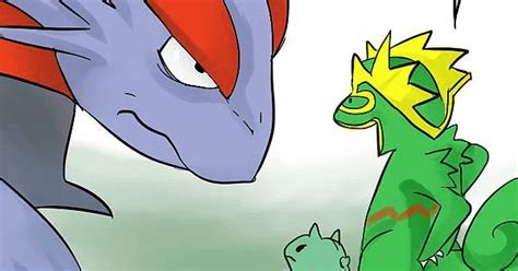 How Long Does Substitute Last Pokémon Pokewolf