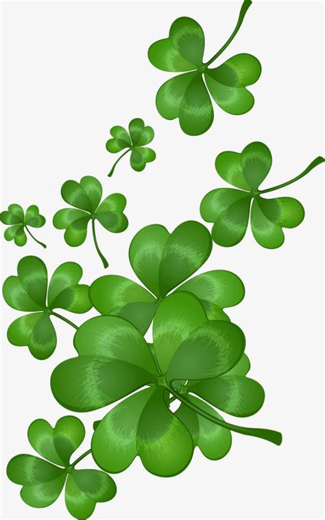Clovers White Transparent Vector Painted Clover Vector Hand Painted Clover PNG Image For