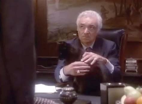 Sledge Hammer Witless Cinema Cats