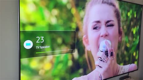 Gallery Offline And Hybrid Voice Control For Homeassistant