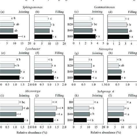 Effects Of Biochar On Dry Matter Accumulation Of Maize Note Different Download Scientific