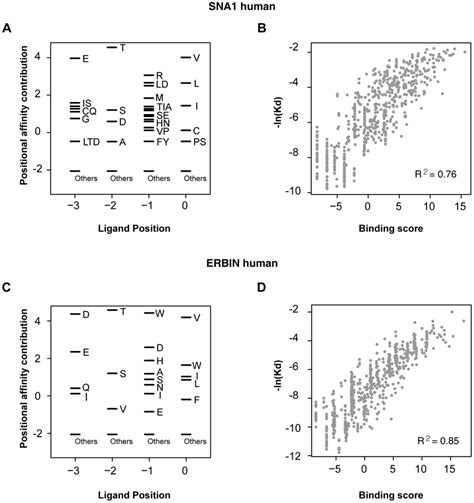 correlation between binding score and binding affinity a and c pwms