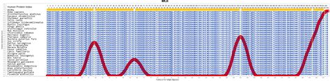 RPL15 Gene - GeneCards | RL15 Protein | RL15 Antibody