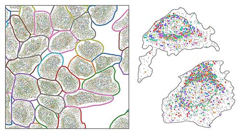 Spatial Transcriptomic Analysis Toolkit Can Extract Biological