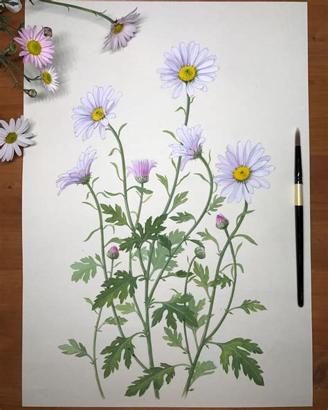 완성된 그림 이제야 올려요 구절초가 절정을 이루고 정원에는 이제 색색가지 국화가 피기 시작하네요 🌸🌼🍂🍁 가을꽃 가을풍경