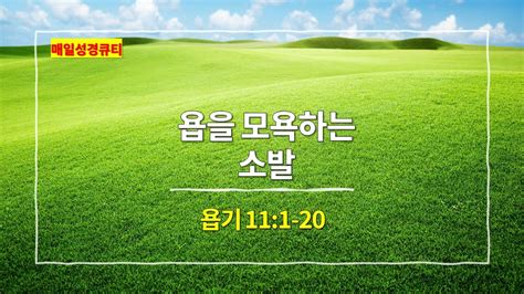 욥기 11장 1절 20절 욥을 모욕하는 소발 매일성경 큐티 새벽예배설교문