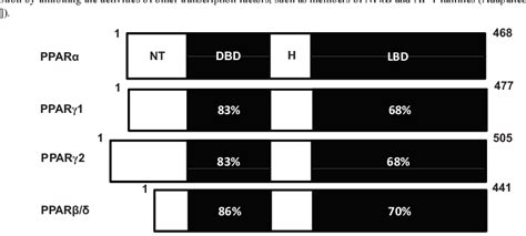 Schematic Representation Of Functional Domains Of Ppar Ppars Have Four Download Scientific