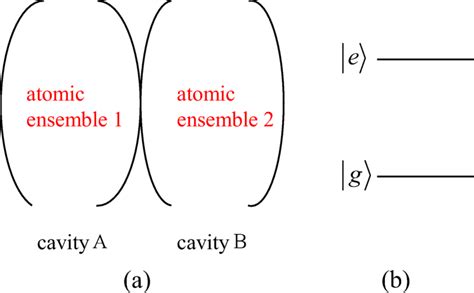 A Diagram Of Two Coupled Cavities B Level Configuration Of Atom