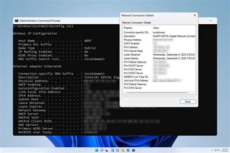 如何在 Windows 11 上检查网络连接详细信息和状态 莱卡云