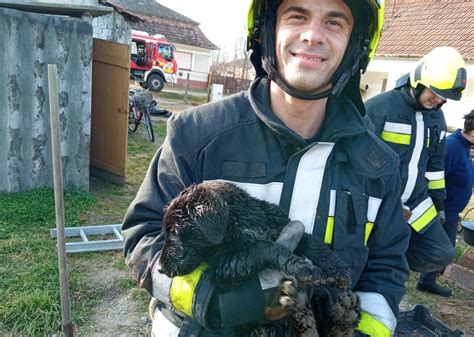 Föld alatti fém tartályba esett kiskutyát mentettek a kiskőrösi