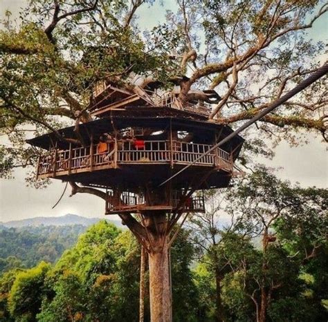 Doug Burdick adlı kullanıcının Always wanted a TREEHOUSE panosundaki