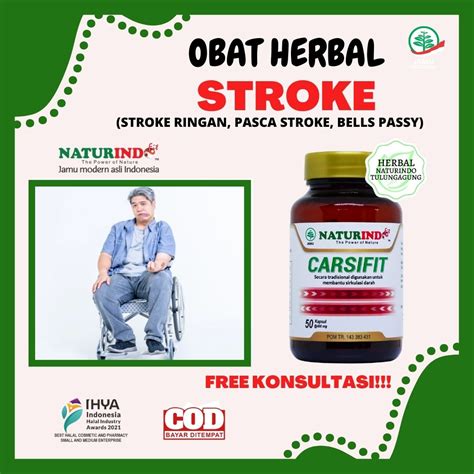 Jual Obat Stroke Struk Pasca Stroke Lumpuh Bella Palsy Stroke Ringan