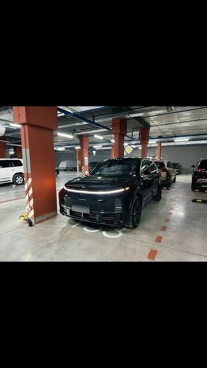 俄罗斯客户订购两台理想l7到货，等待交车 Youtube
