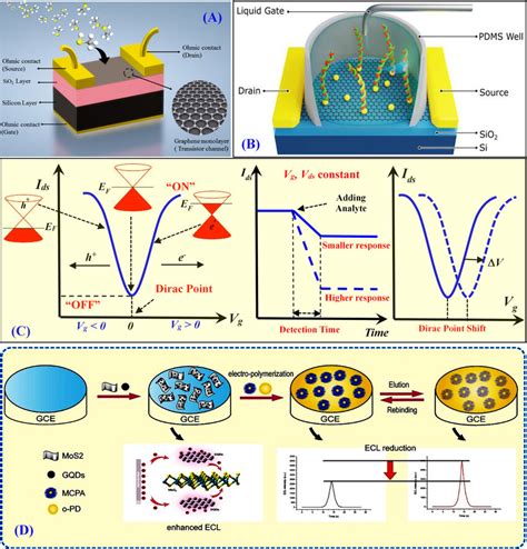 A Schematic Structures Of A Back Gated And B Top Gated Graphene