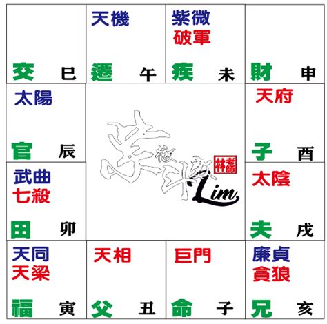 巨门星在子宫坐命宫，其十二宫宫位的解析 科學看紫微