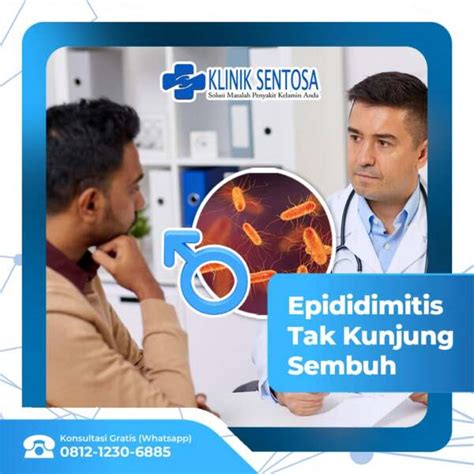 Kenapa Epididimitis Tak Kunjung Sembuh Klinik Utama Sentosa