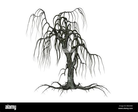 Creepy Tree Drawing