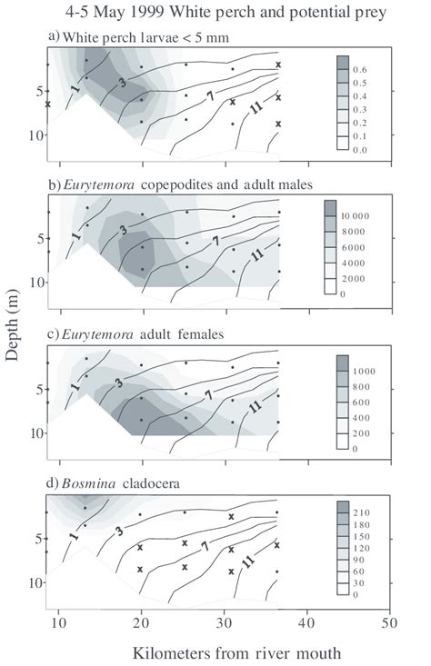 Salinity Psu Contour Lines And Concentration Contours No M 3