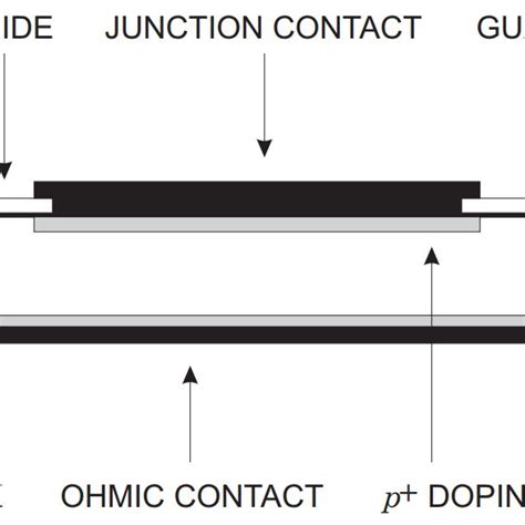 2 Cross Section Of A Typical Semiconductor Detector Diode [18] Download Scientific Diagram