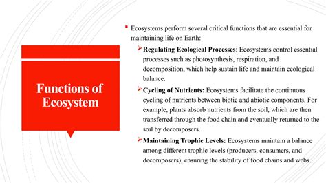 Understanding Ecosystems Structure Components And Functions Pptx Biological Sciences Science
