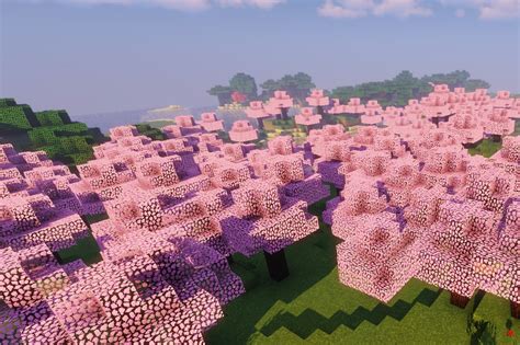 Feather Client Najlepszy Launcher Minecraft