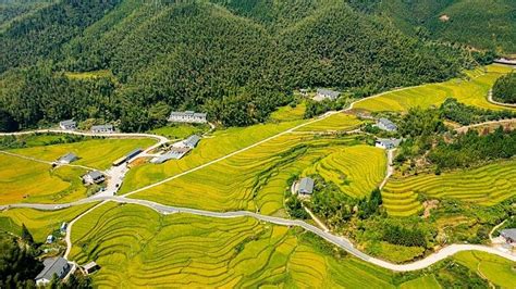 中国新添四世界灌溉工程遗产位于蜀苏浙赣四省 10月6日2022年第九批世界灌溉工程遗产名录公布中国四川省通济堰江苏省兴化垛田浙江