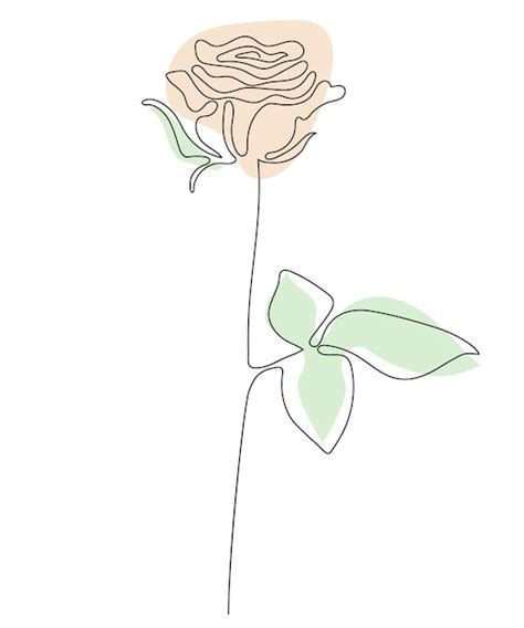 Rose Dessin Au Trait Belle Fleur Vecteur Dessin Au Trait Continu Fleur