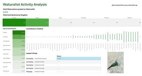 Dashboard Week Inaturalist Activity Analysis The Data School