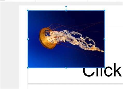 How To Crop A Picture In Google Slides Solve Your Tech