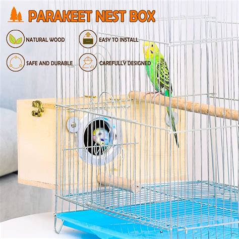 Best Nesting Material For Budgies Kr