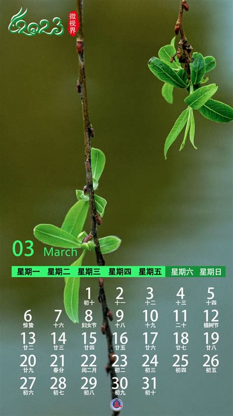 年终报道·2022奔向美好丨“微视界”日历来了，请收藏 新华网