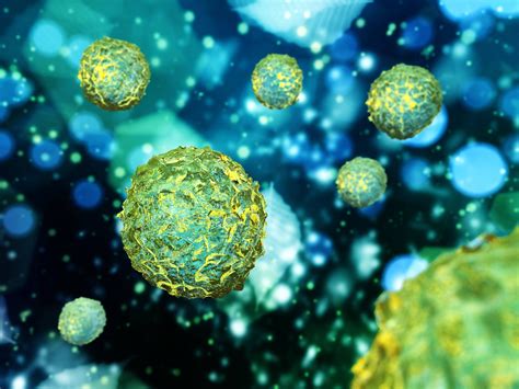 Chronic Inflammations Influence On Tp53 Mutations In Leukemia