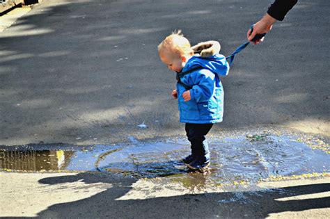 Puddle Rock And Roll Pussycat
