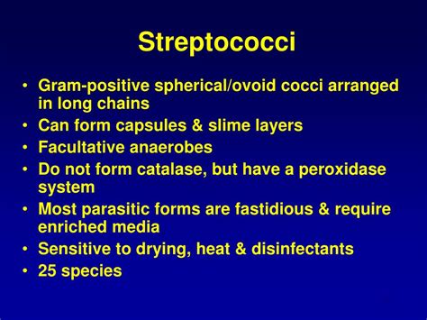 Ppt Cocci Of Medical Importance Powerpoint Presentation Id 242017