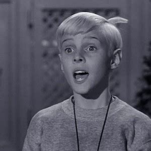 Dennis The Menace Season Episode Rotten Tomatoes